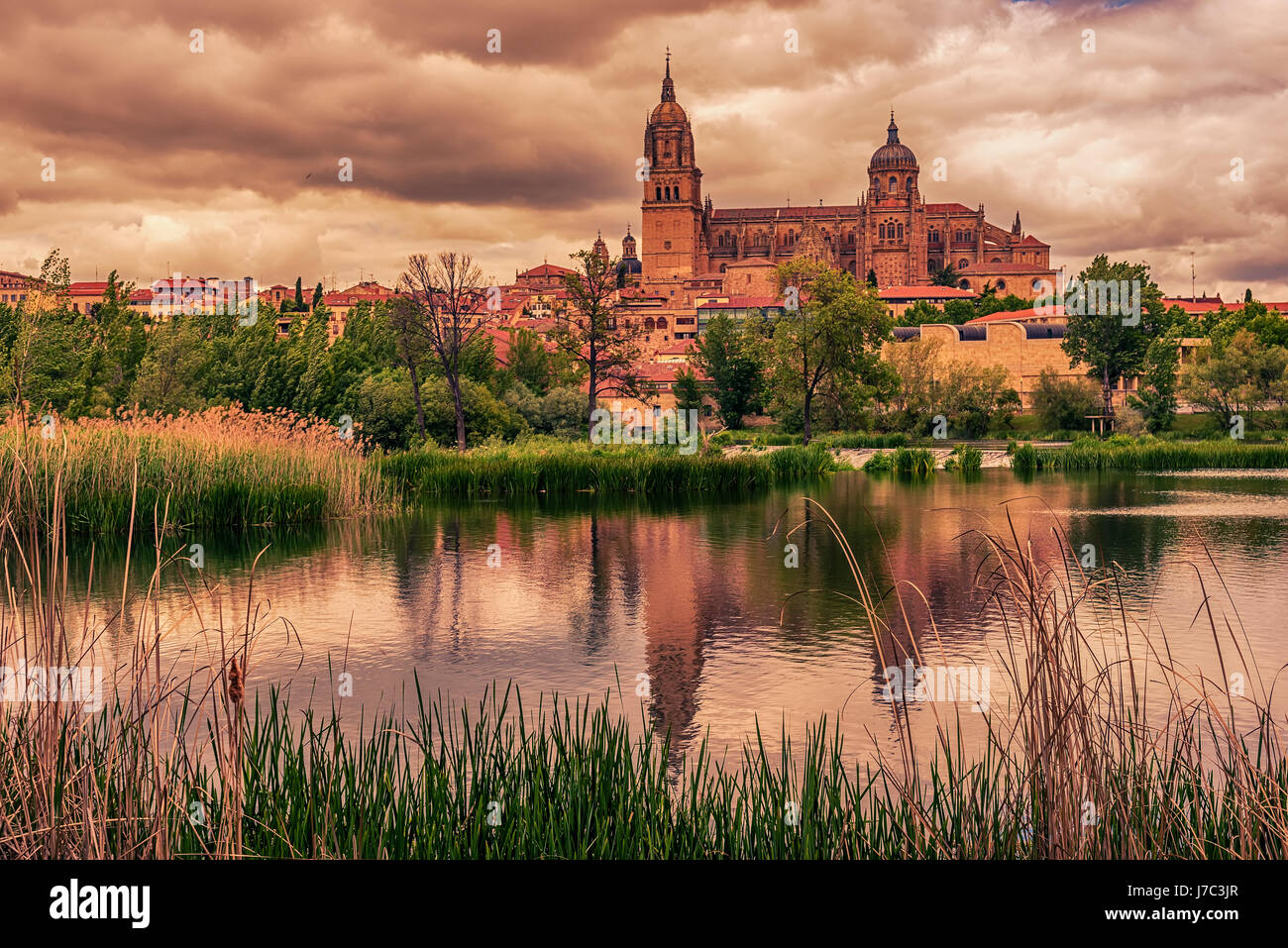 Salamanca, Spain: The old town, The New Cathedral, Catedral Nueva and ...
