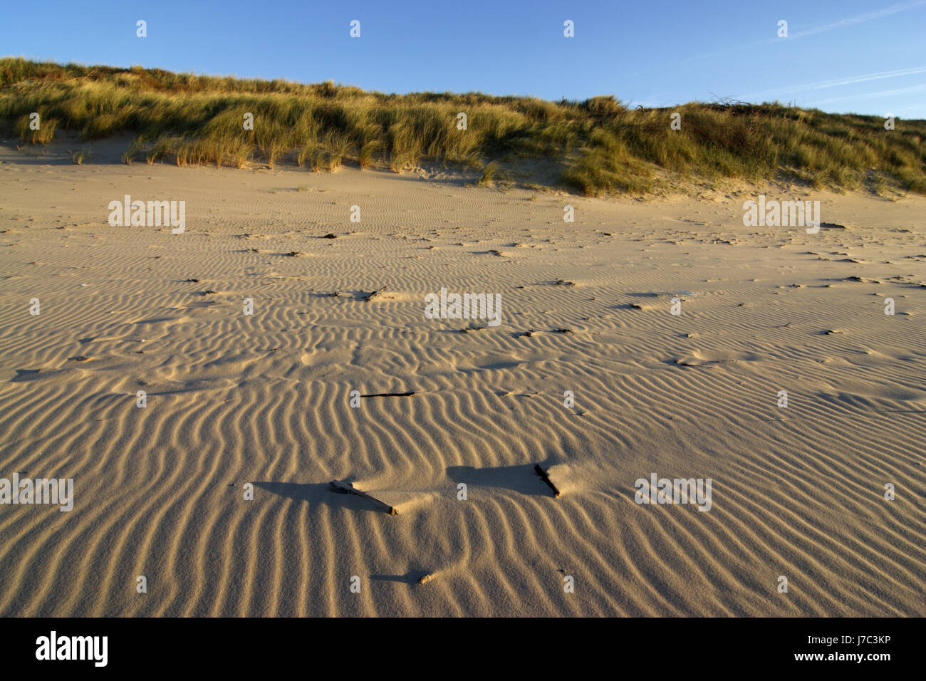 beach seaside the beach seashore dunes shaddow shadow shadows holiday ...