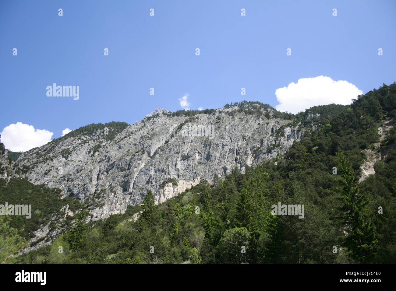 tree on steep slopes Stock Photo - Alamy