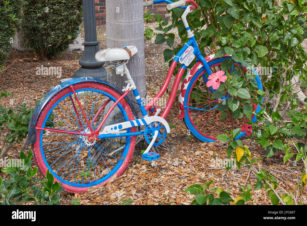 Bicycle wheels on display hi-res stock photography and images - Alamy