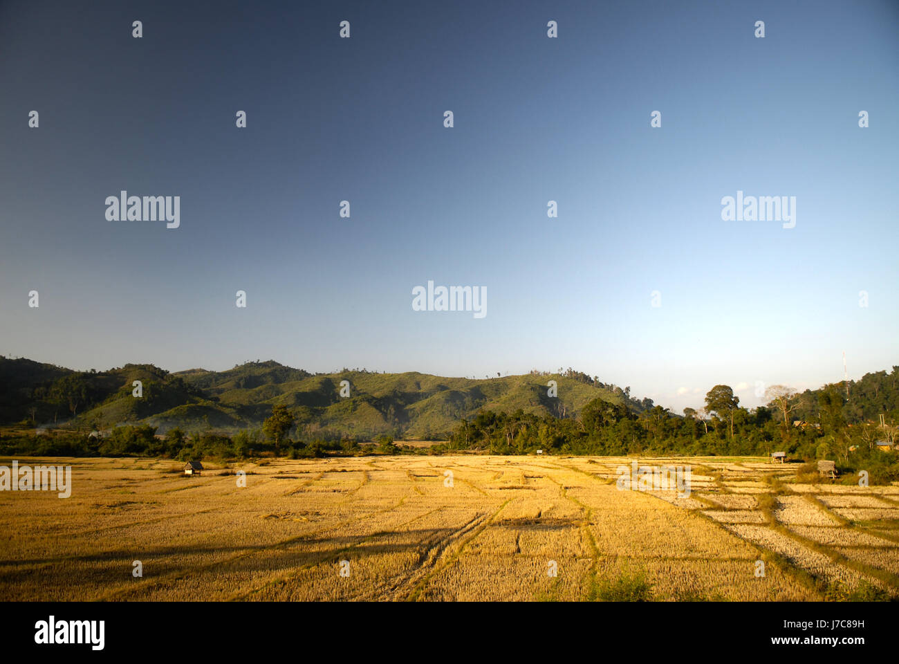 bucolic asia agriculture farming triangle rice nature bucolic hill asia ...
