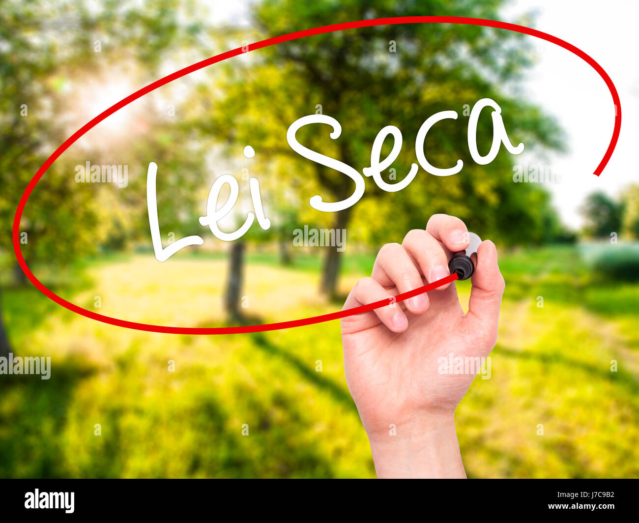 Man Hand writing Lei Seca (Prohibition Alcohol Law n Portuguese) with ...