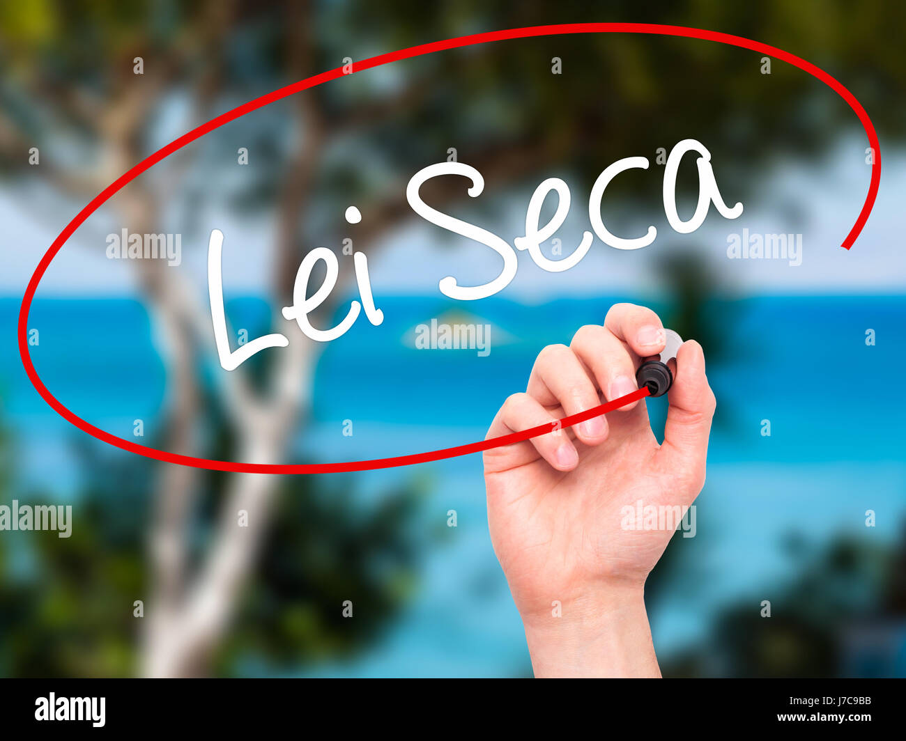 Man Hand writing Lei Seca (Prohibition Alcohol Law n Portuguese) with ...