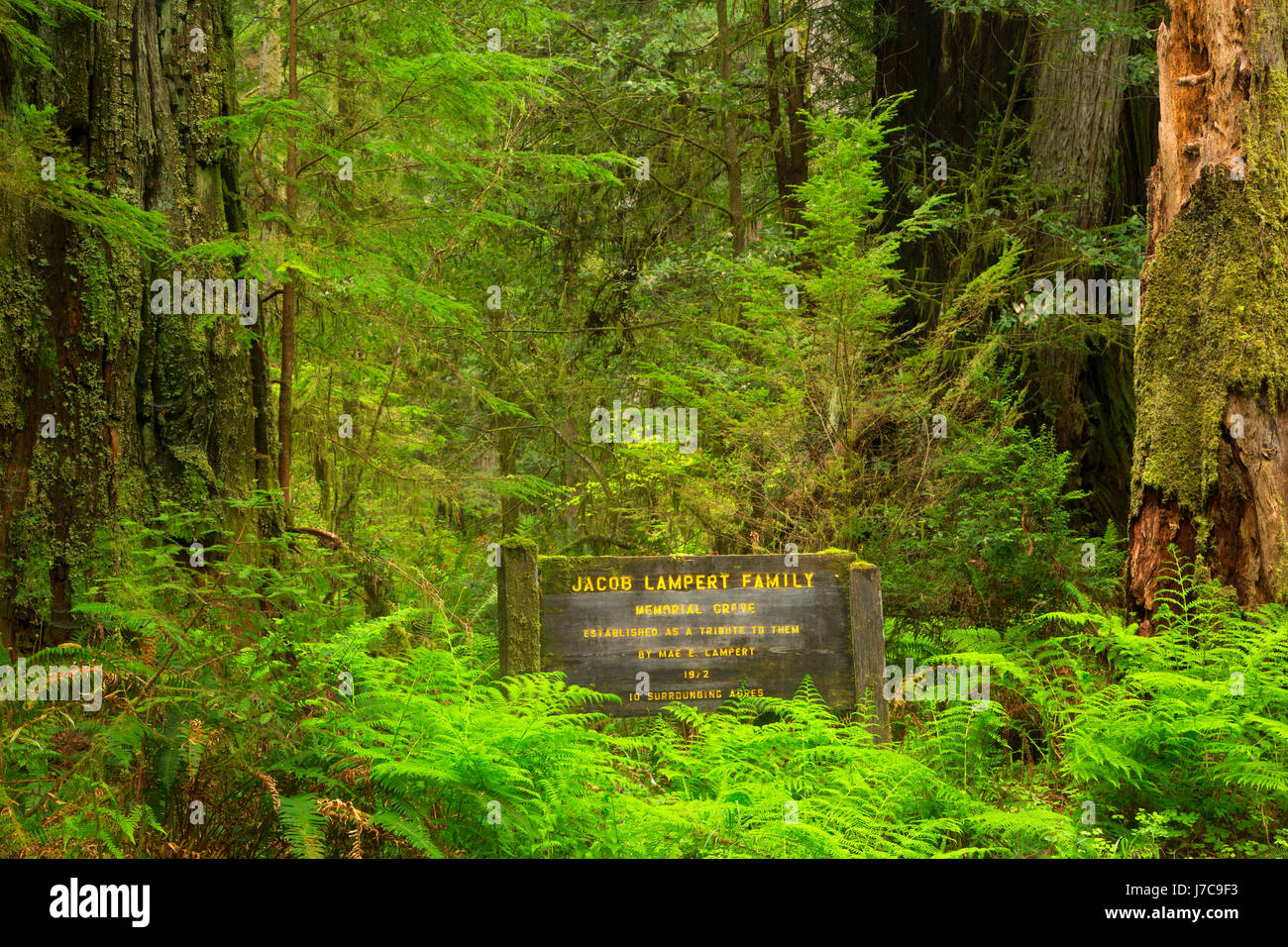 Redwood forest sign hi-res stock photography and images - Alamy