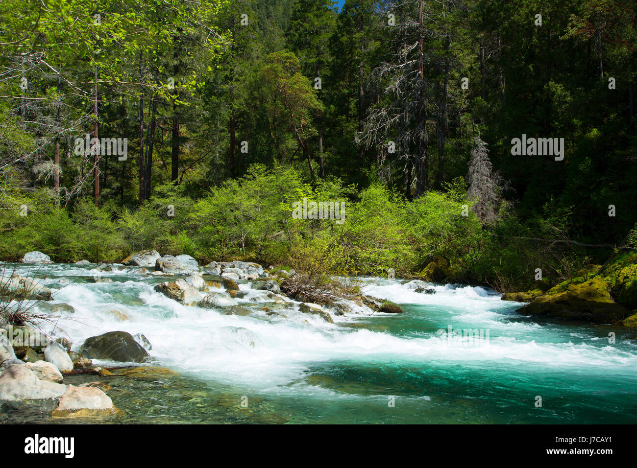 Middle Fork Smith River, Smith River National Recreation Area, Smith ...