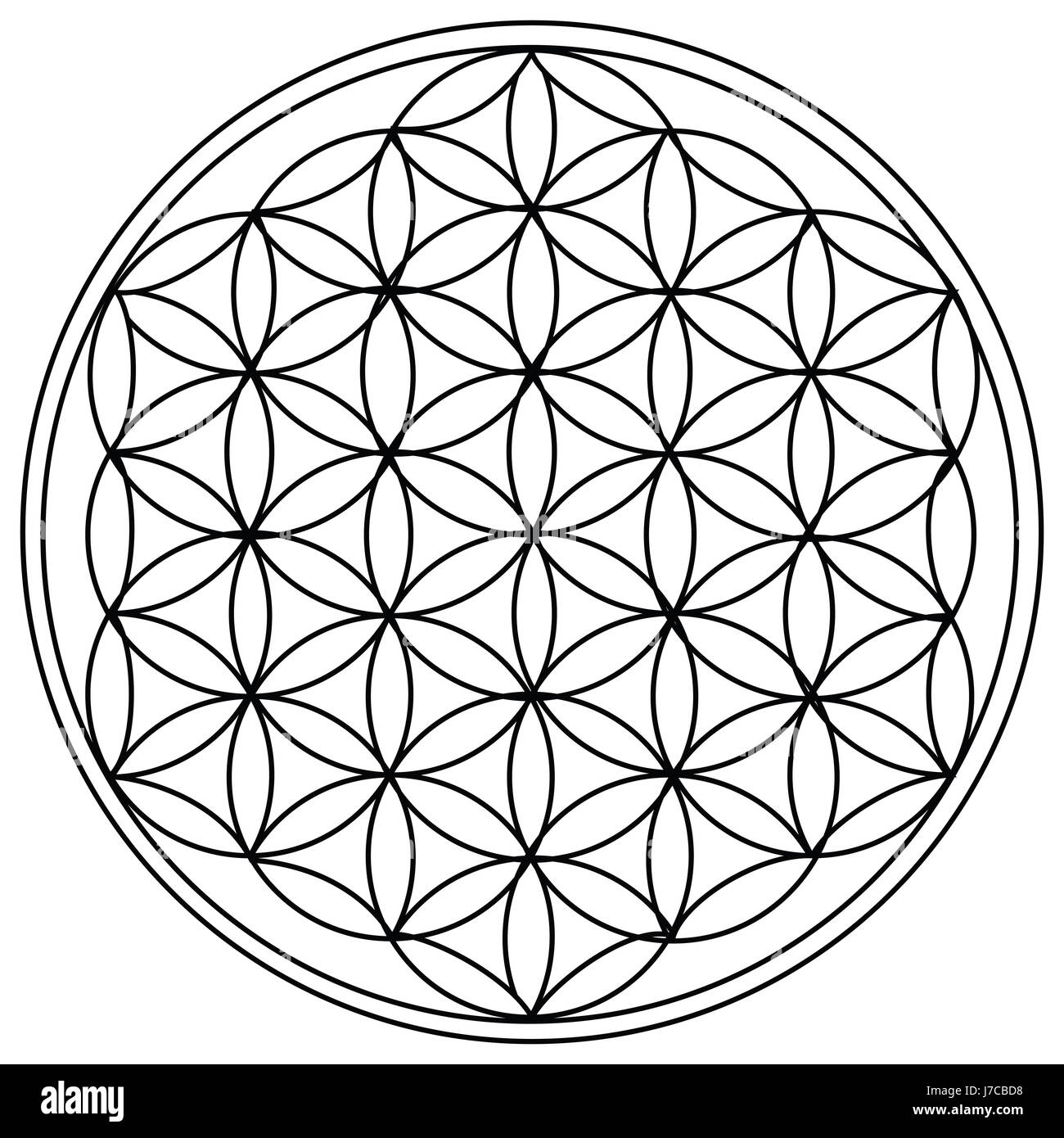 Genesis bible plant hi-res stock photography and images - Alamy