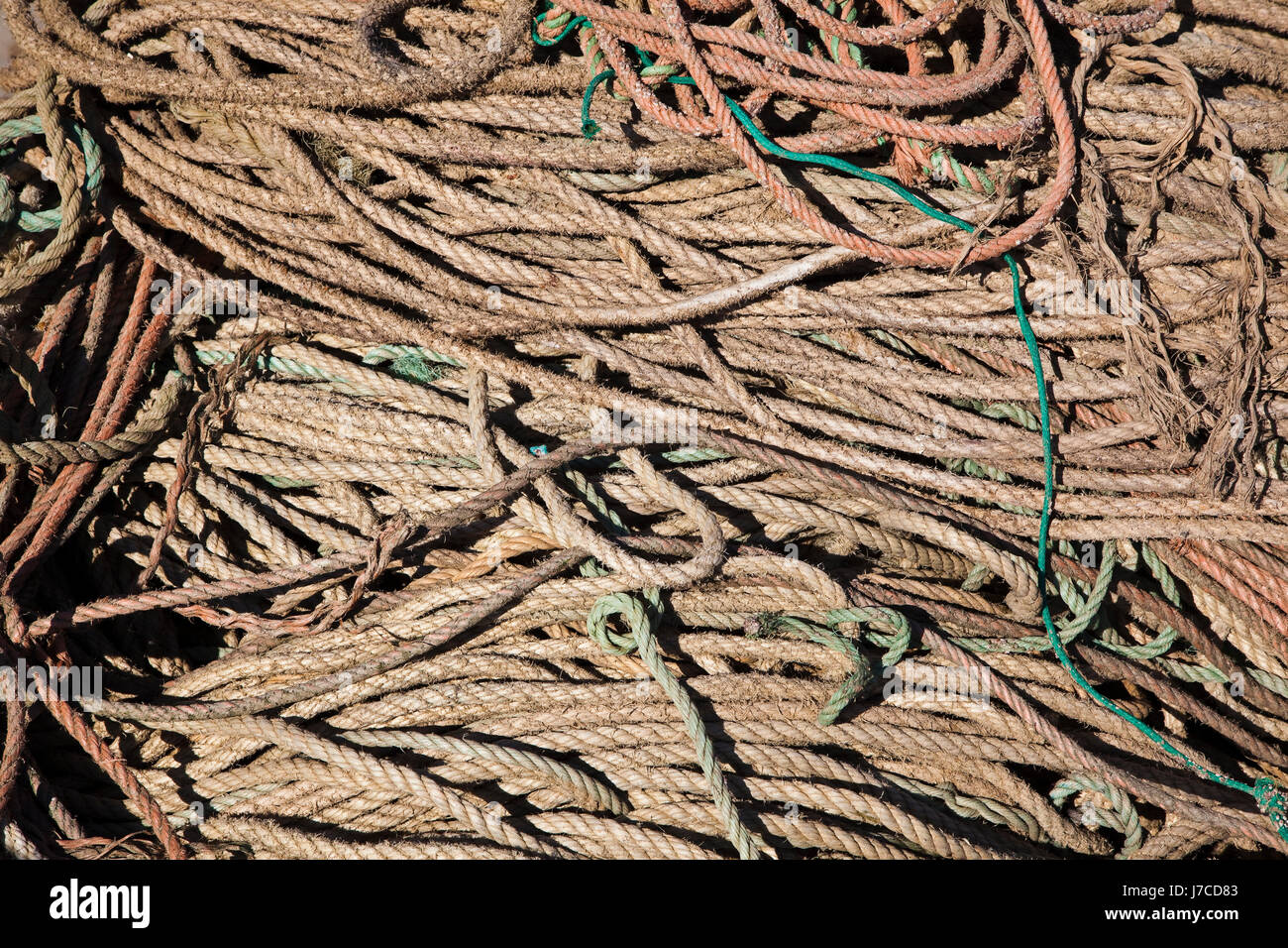 dew cord lashings hemp rope rope dew cord landscape format leash ...