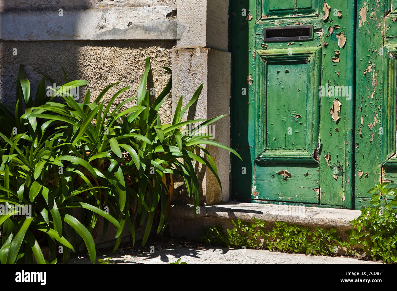 Tuere hi-res stock photography and images - Alamy