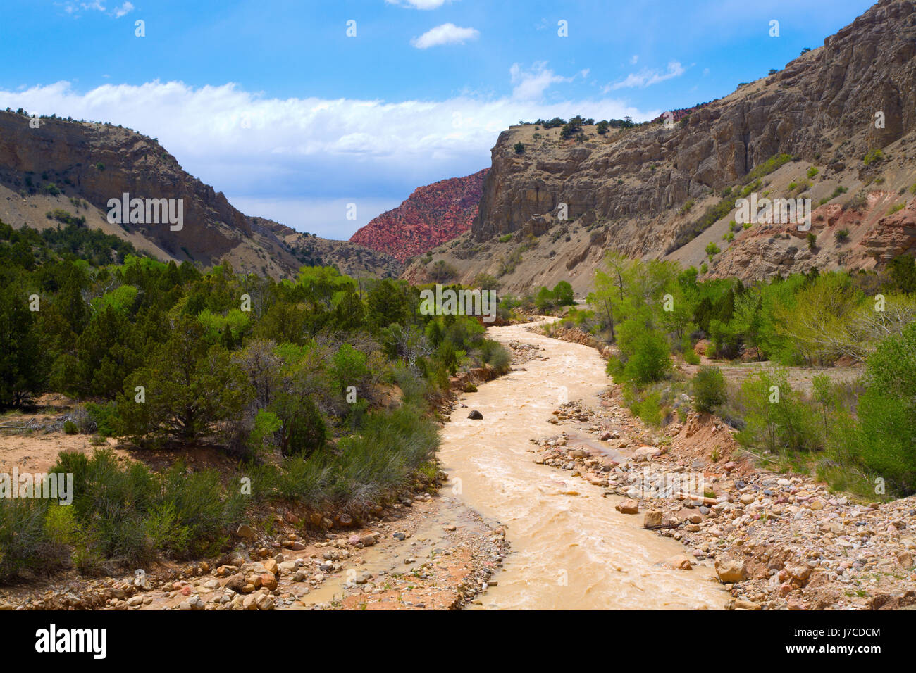 mountains erosion dirty Canyon rocks river water blue tree trees flow ...