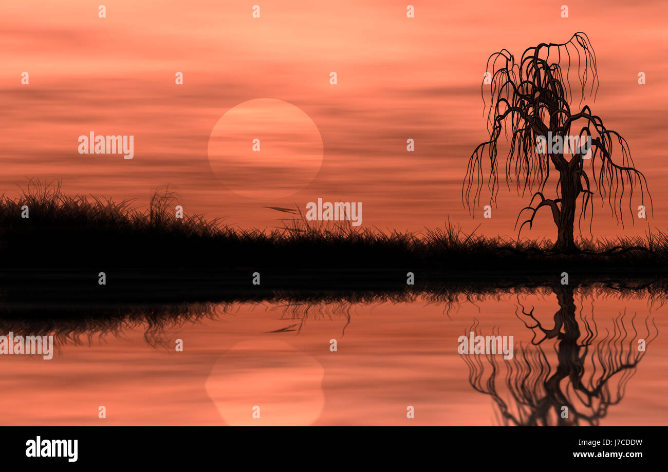 tree sunset illustration fresh water lake inland water water landscape ...
