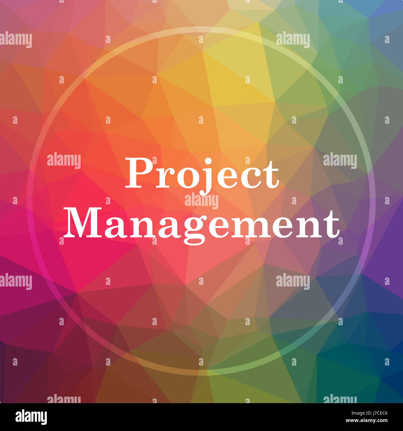Project management icon. Project management website button on low poly ...