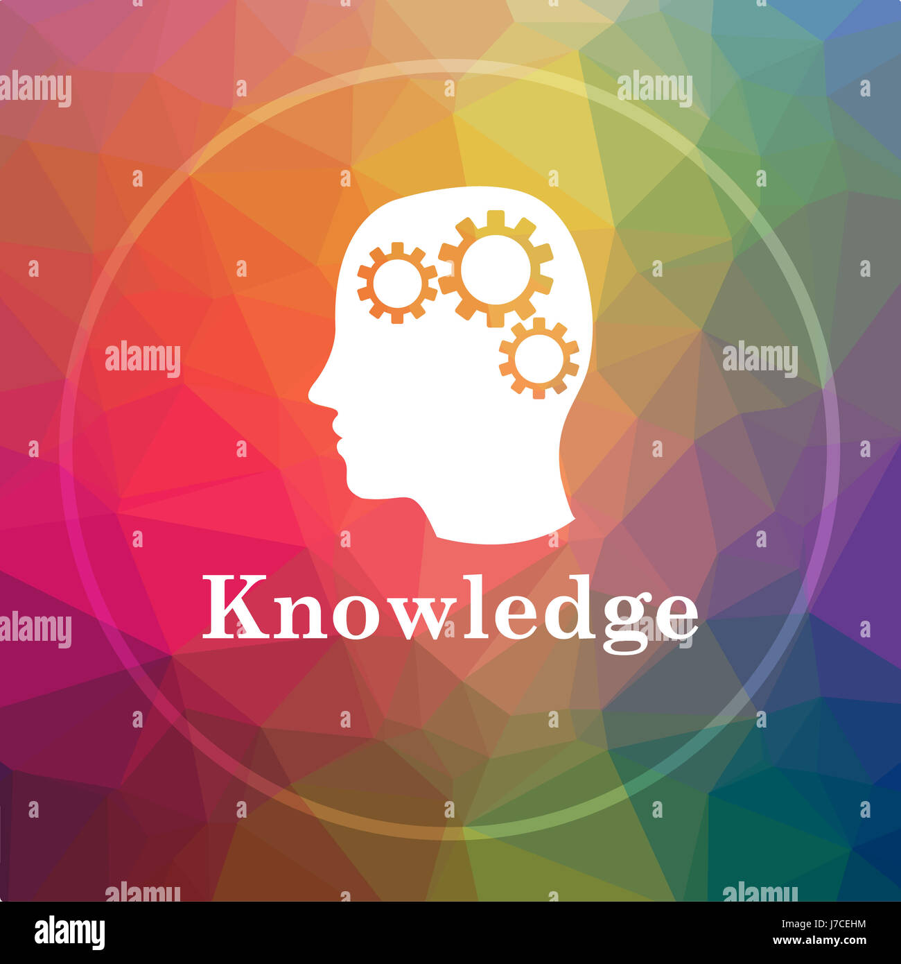 Knowledge icon. Knowledge website button on low poly background Stock ...