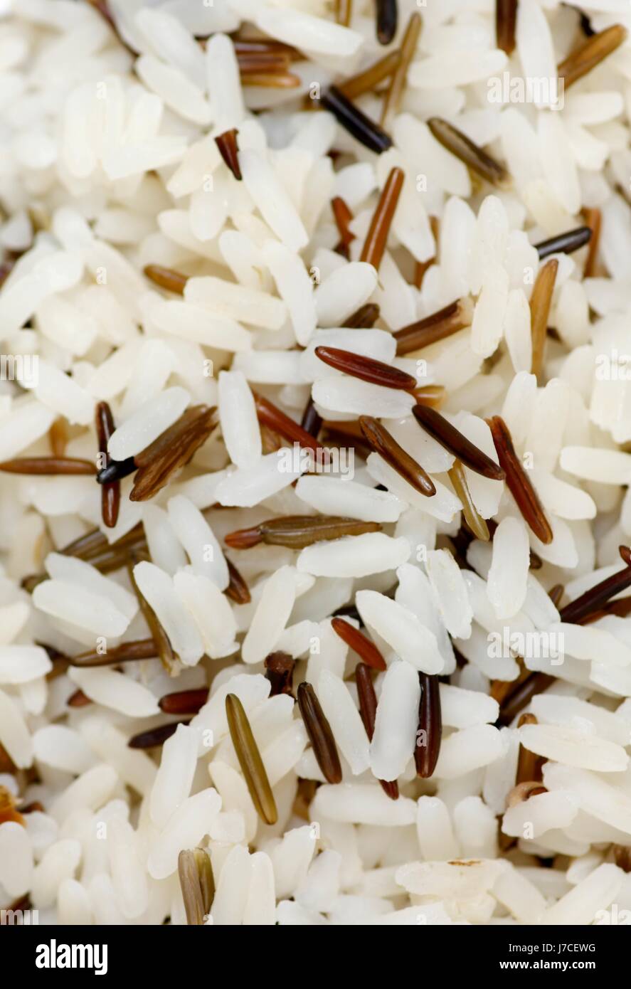 hunger wild backdrop background rice hunger wild backdrop background ...