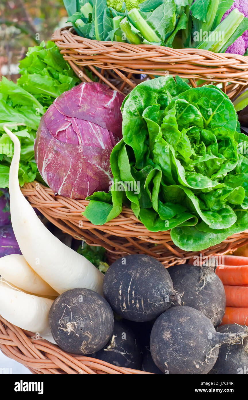 arrangement energy power electricity electric power basket vegetable ...