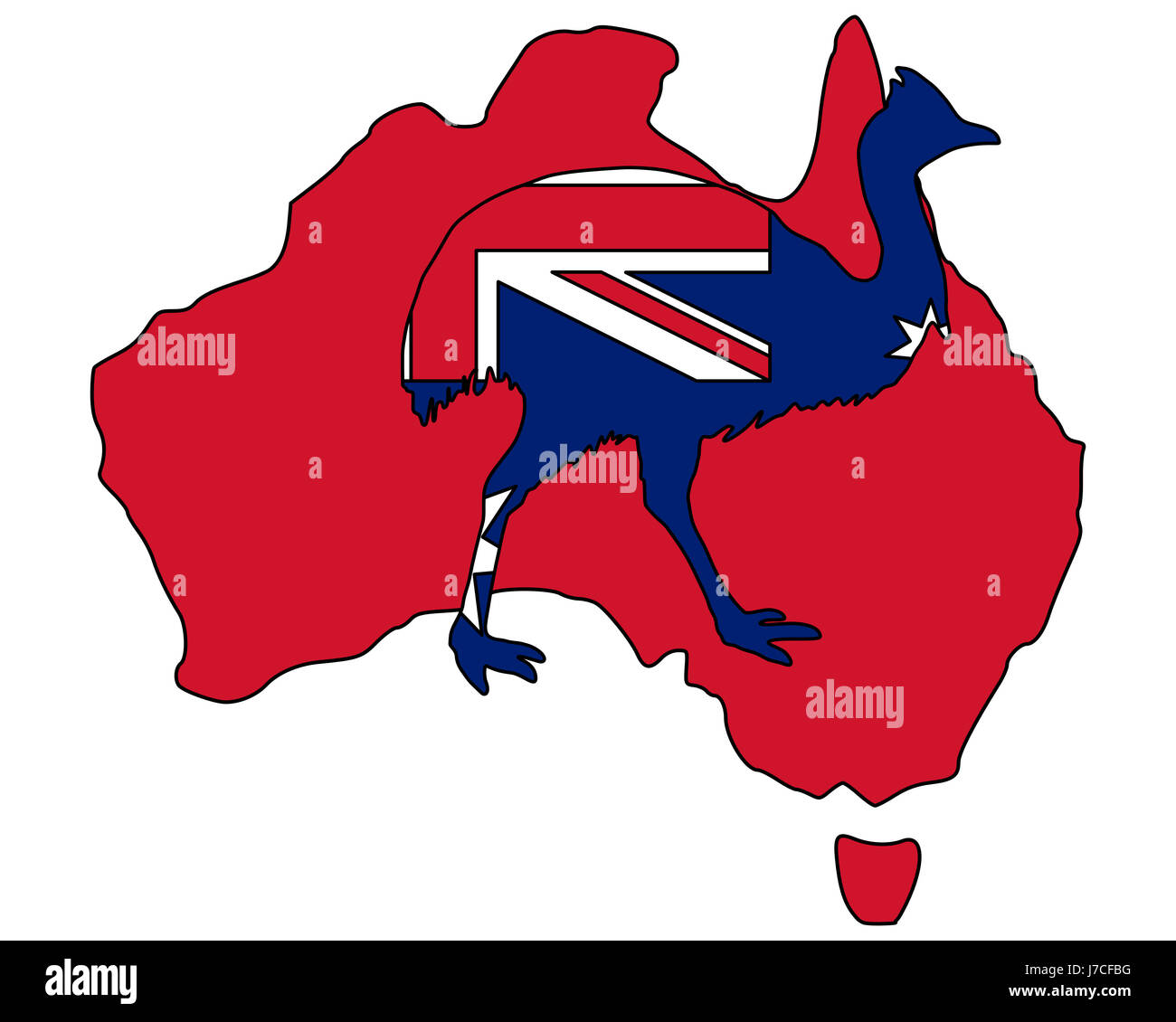 Cassowary australia hi-res stock photography and images - Alamy