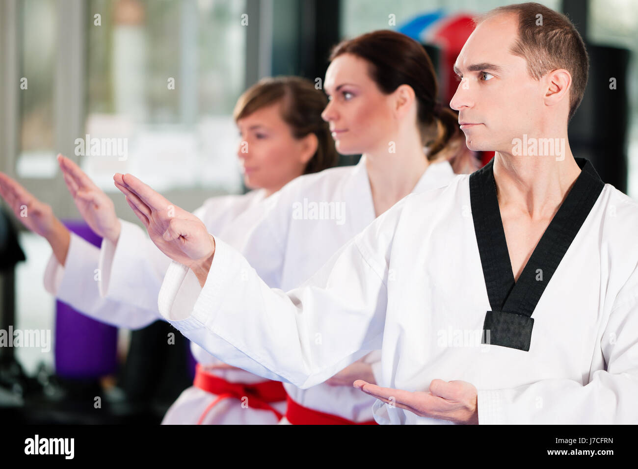 Sports club tae kwon do hi-res stock photography and images - Alamy