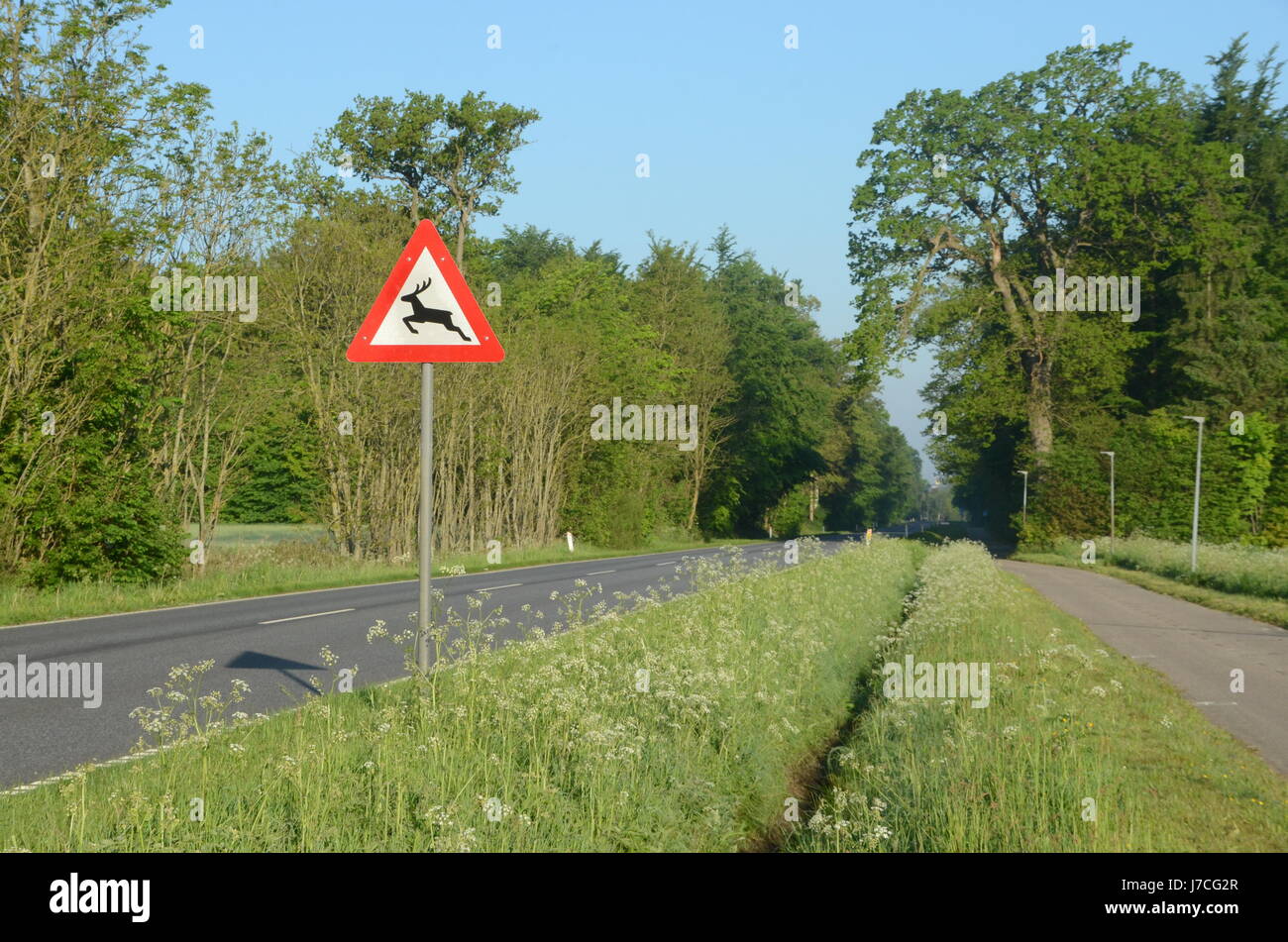 Road sign warning of wildlife ahead Stock Photo - Alamy