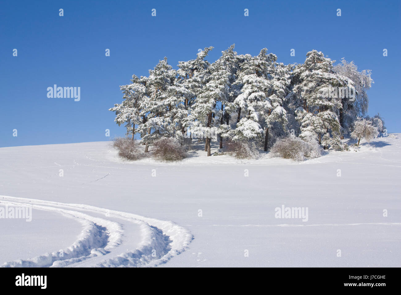 cold sense frost winter landscape snow tracks footprints footmarks cold ...