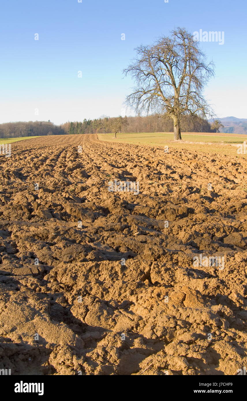 agriculture farming field spring acre economics furrow scenery ...