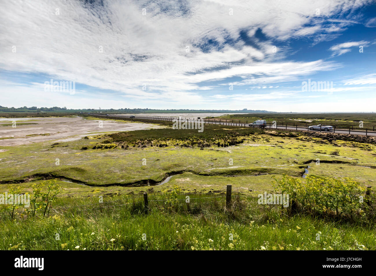 MERSEA CAUSEWAY AT LOW TIDE. THE STROOD IS THE ONLY ACCESS TO THE ...