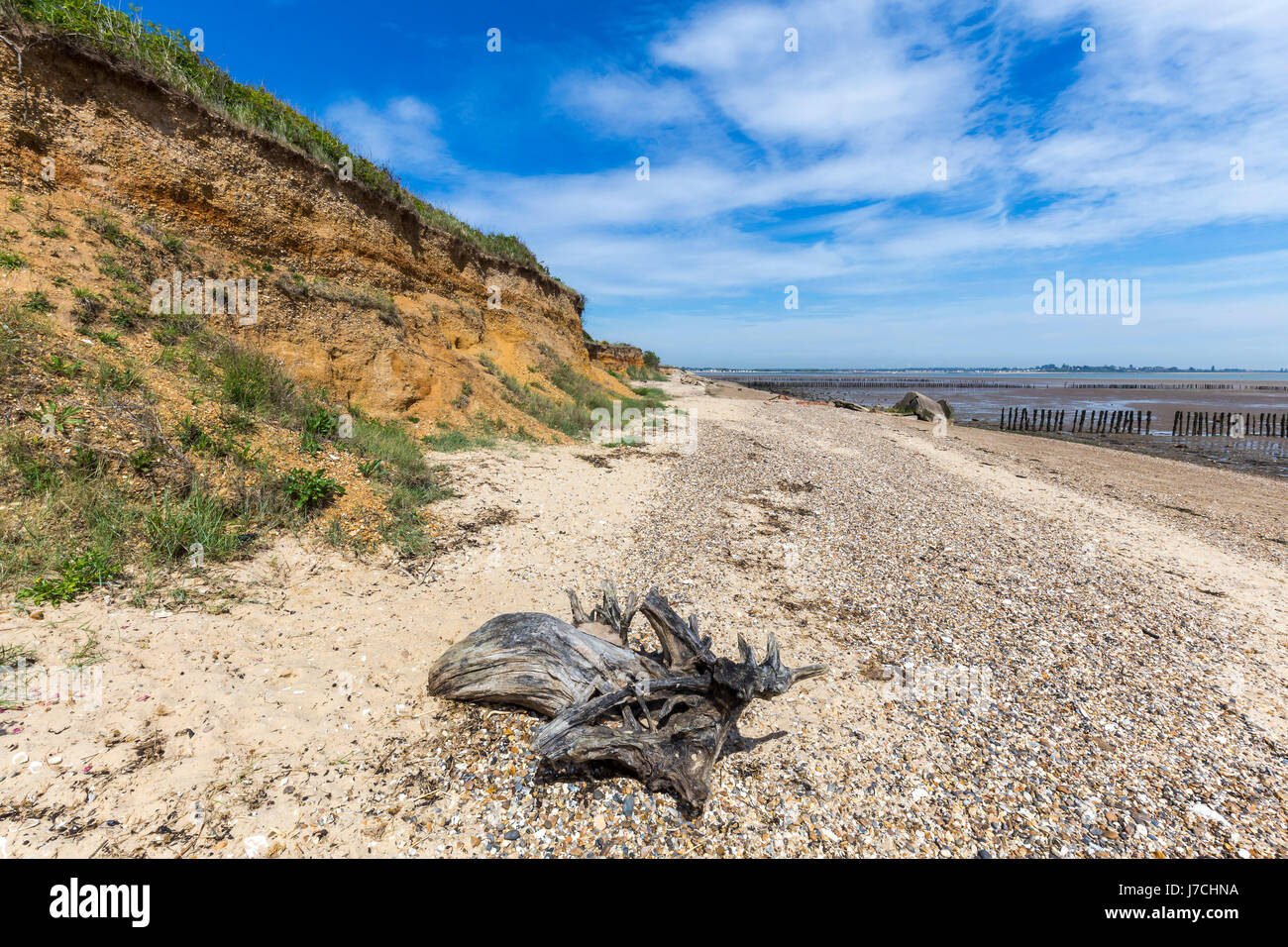 MERSEA BEACH NEAR CUDMORE GROVE COUNTRY PARK Stock Photo - Alamy