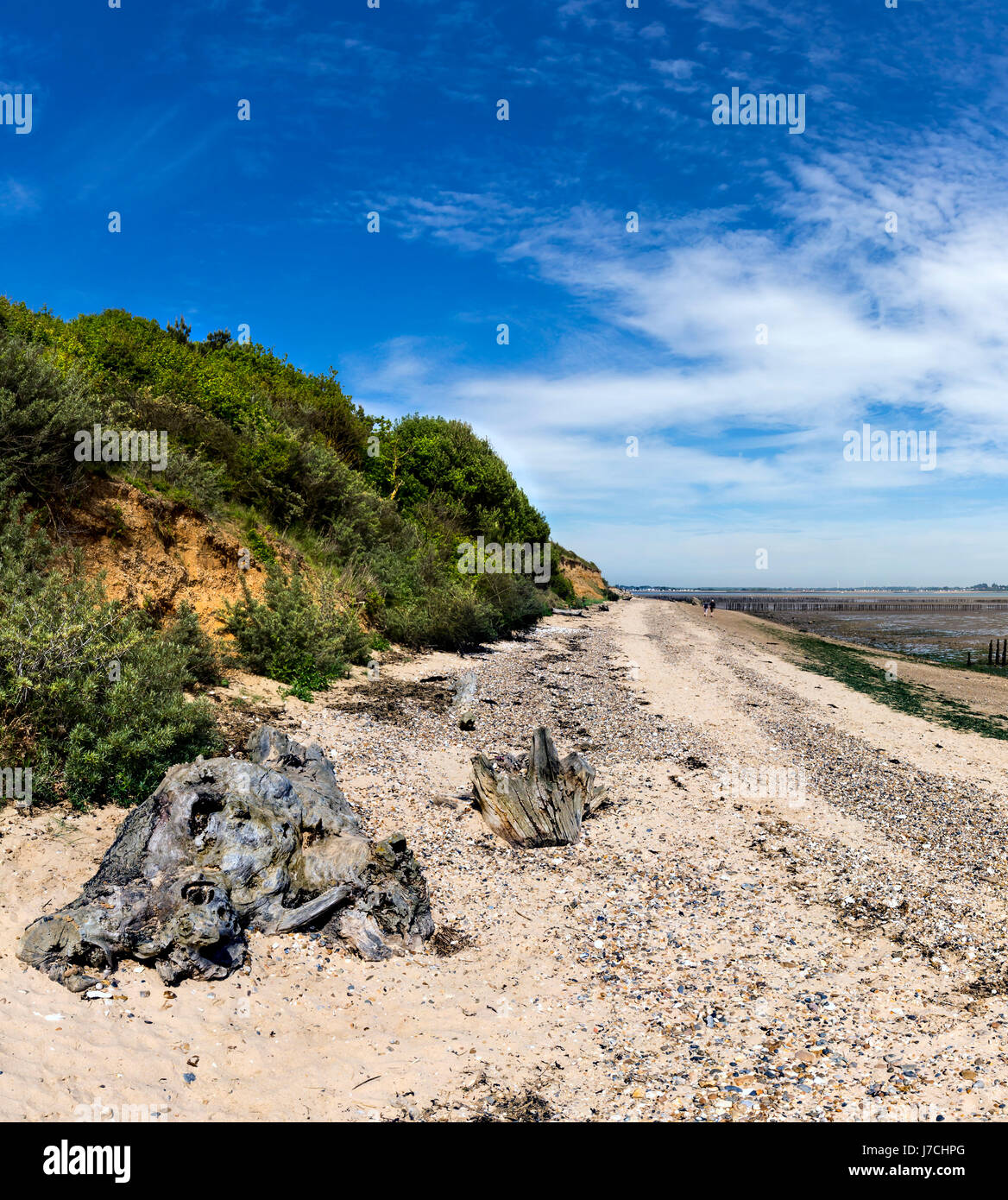 MERSEA BEACH NEAR CUDMORE GROVE COUNTRY PARK Stock Photo - Alamy