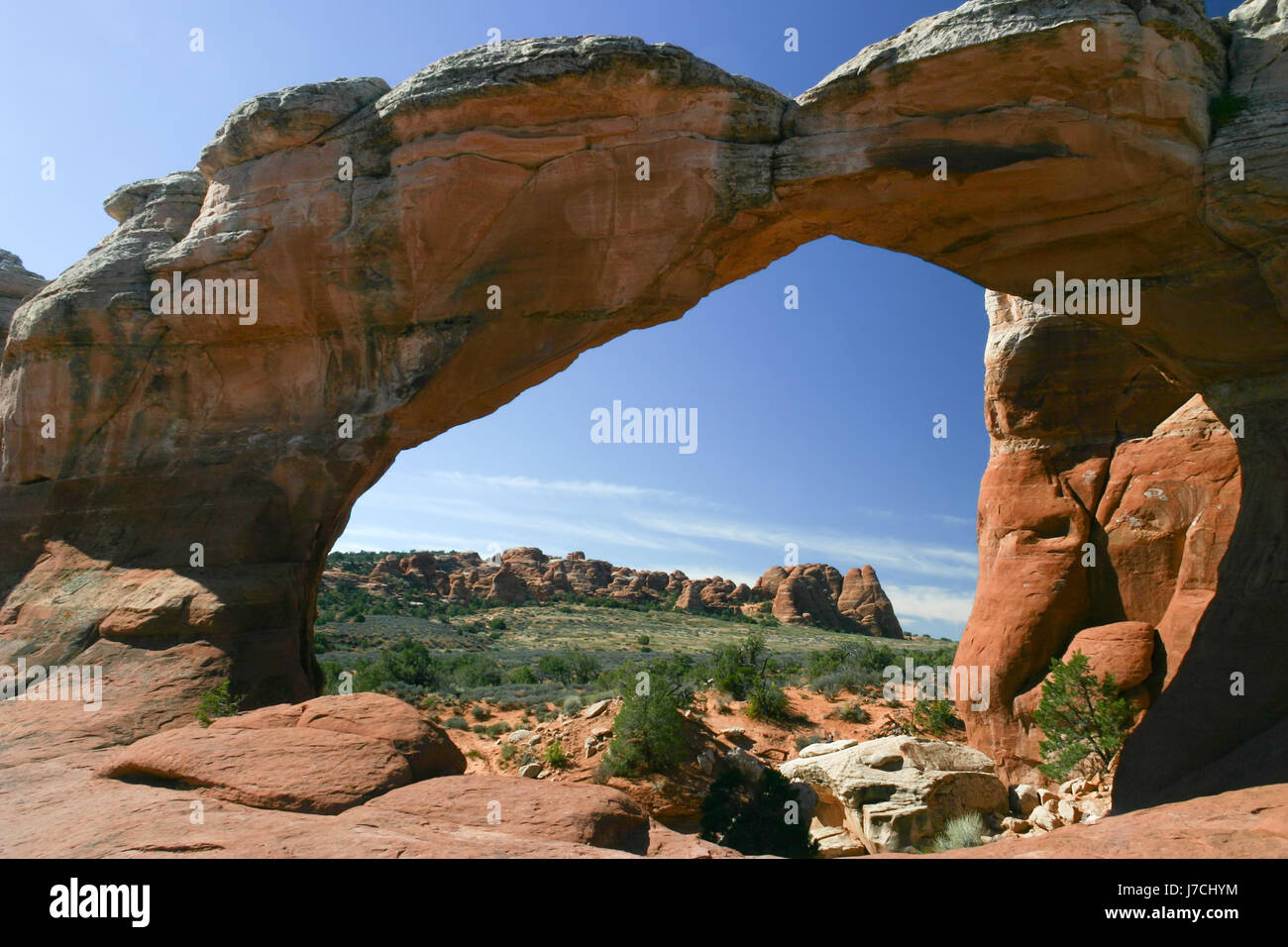 national park rock tree trees plant national park arc bushes usa rock ...