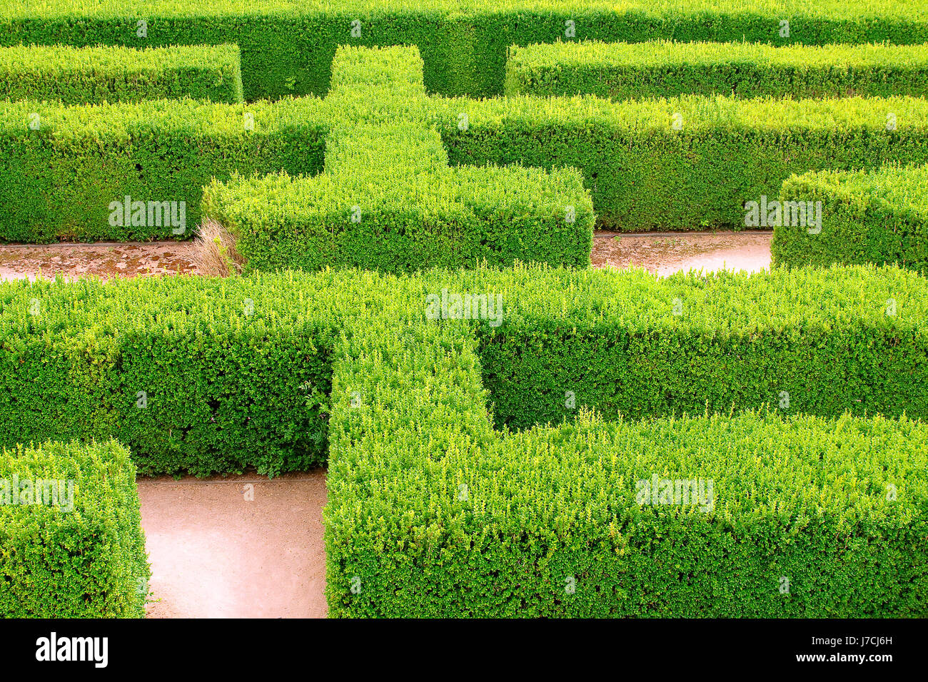 Part of a natural maze at a castle in Europe Stock Photo - Alamy
