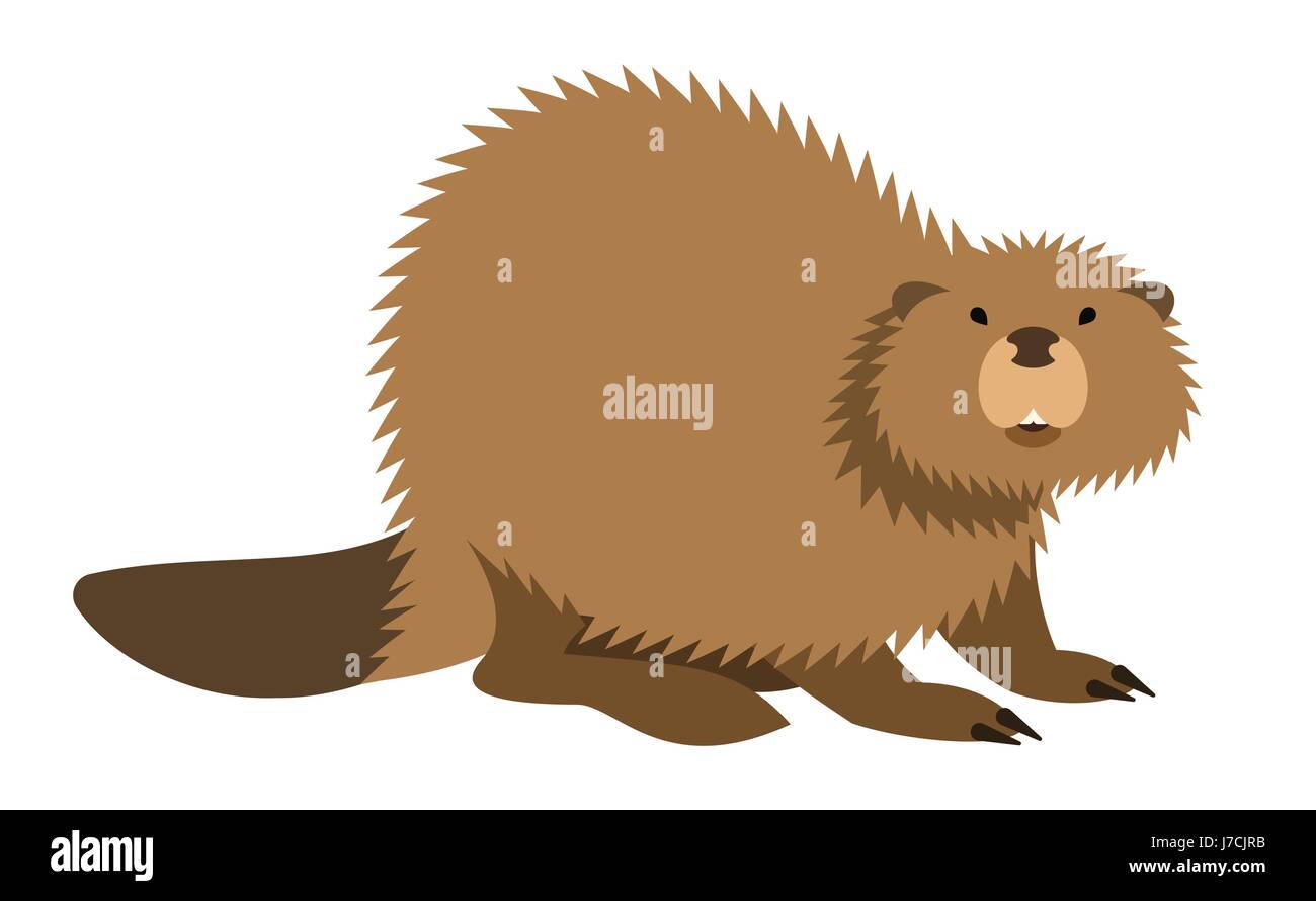 Cute beaver with long tail vector cartoon illustration. Wild zoo animal ...