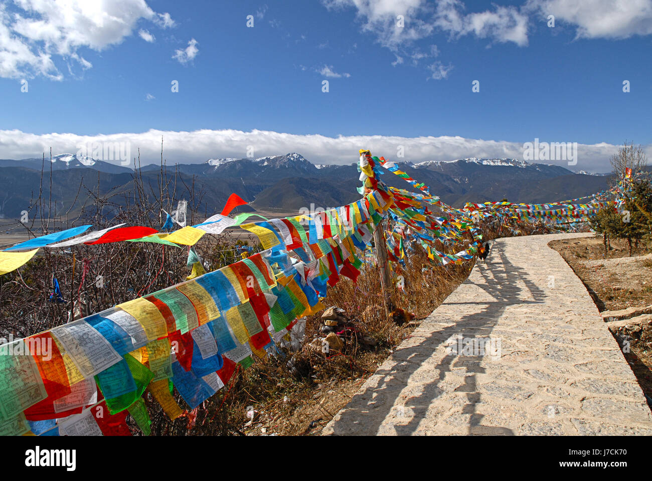coloured colourful gorgeous multifarious richly coloured flag tibet ...