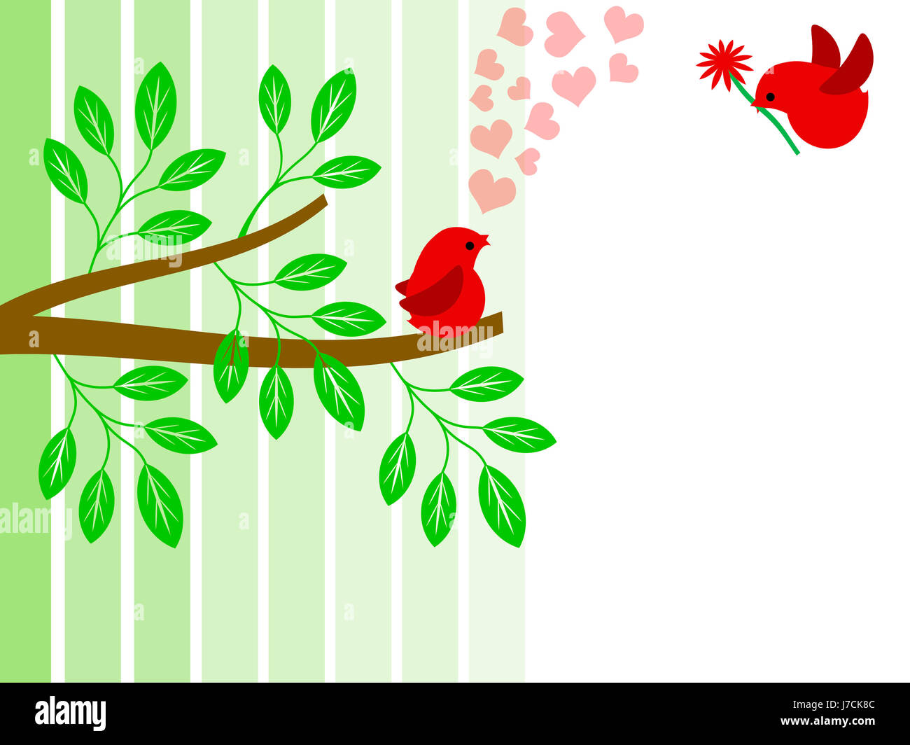 birds day during the day occasion put sitting sit special fly flies ...