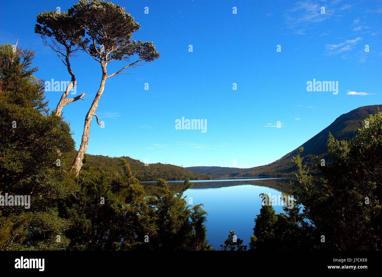 look glancing see view looking peeking looking at australia fresh water ...