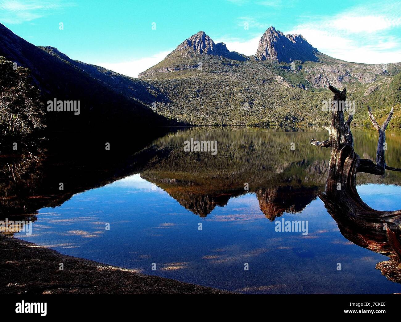 look glancing see view looking peeking looking at fresh water lake ...