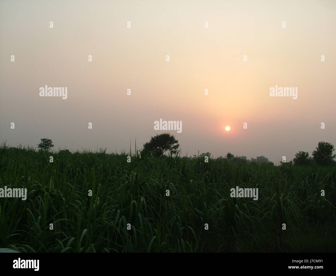 Sunset from Rishikesh, Himalaya India, (Photo Copyright © Saji Maramon ...