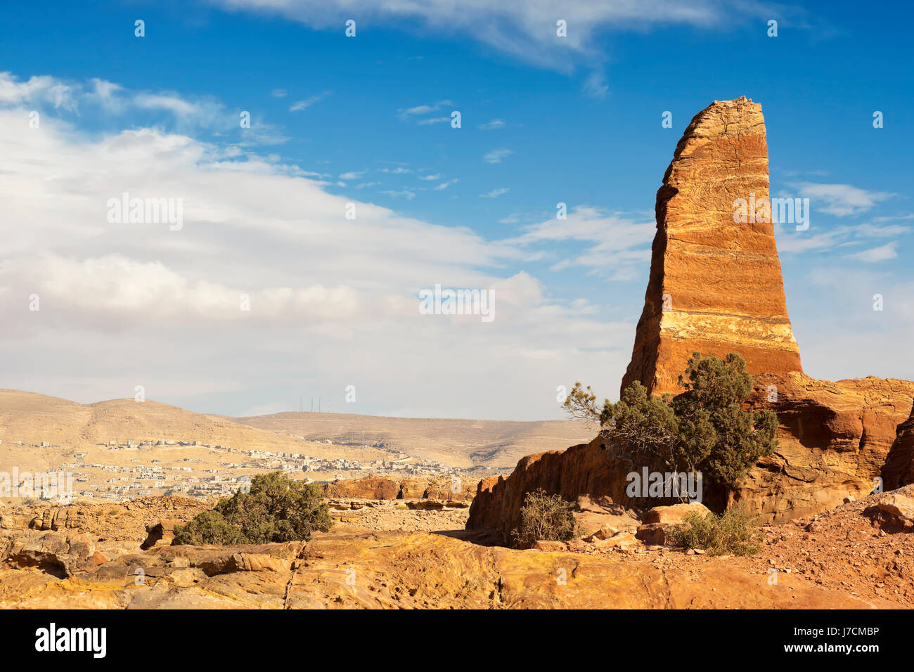 desert wasteland jordan sandstone monolith tree desert wasteland pillar ...