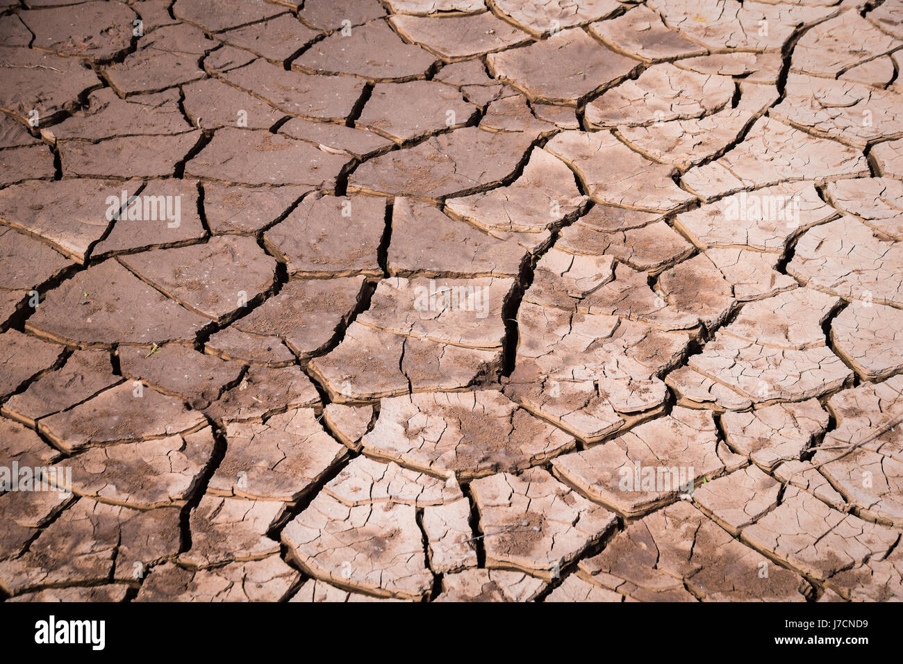 Dry arid cracked landscape Stock Photo - Alamy