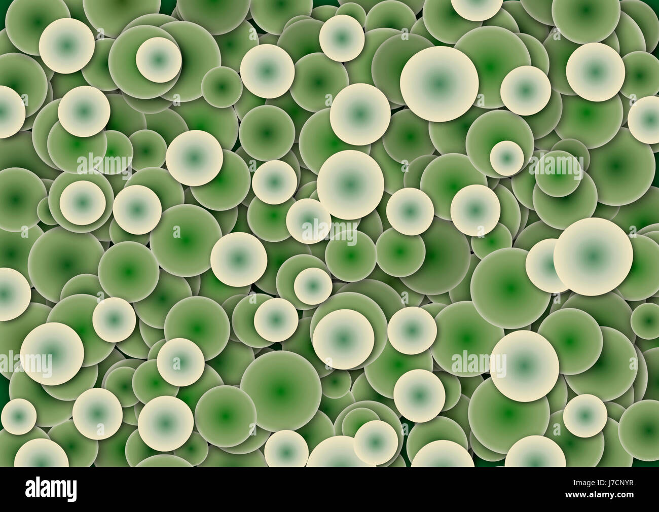 cell circle abstract circles cells polyps backdrop background round ...