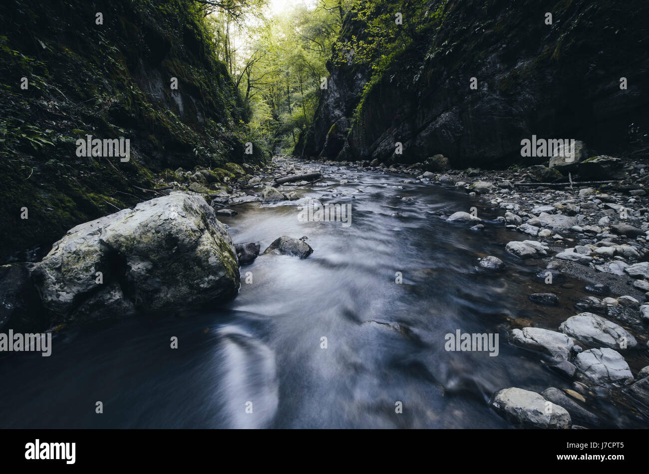 forest stream in natural canyon with cliffs and trees Stock Photo - Alamy