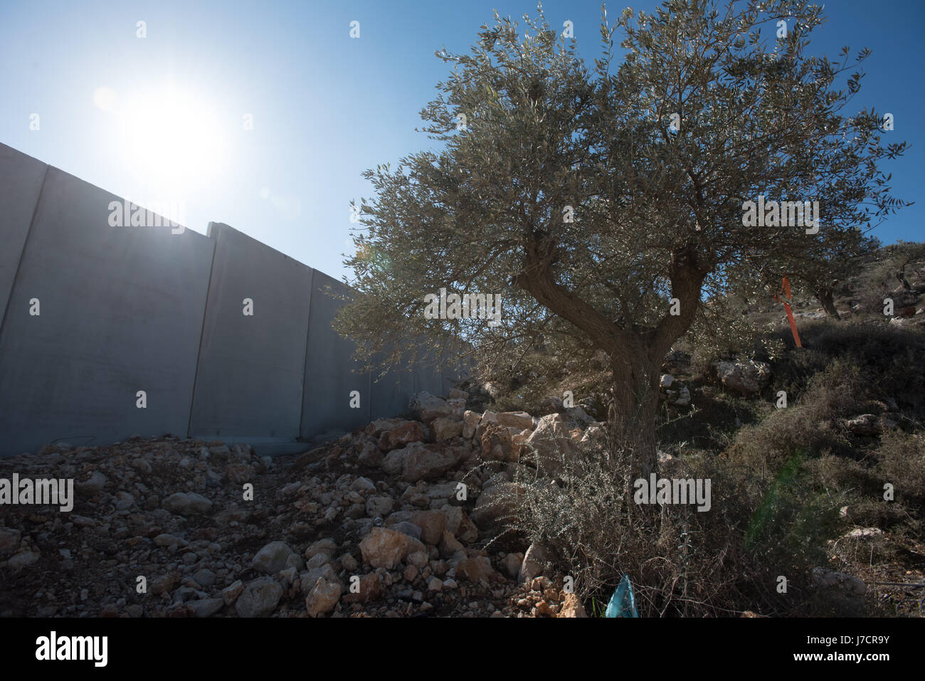 The Israeli Separation Wall divides land belonging to the West Bank ...