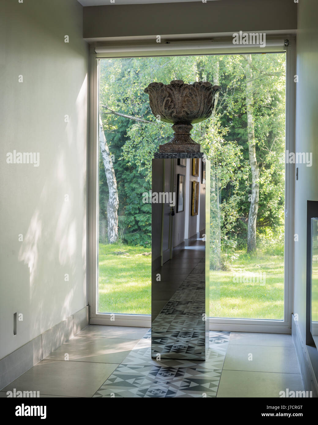 See through bowl hi-res stock photography and images - Alamy