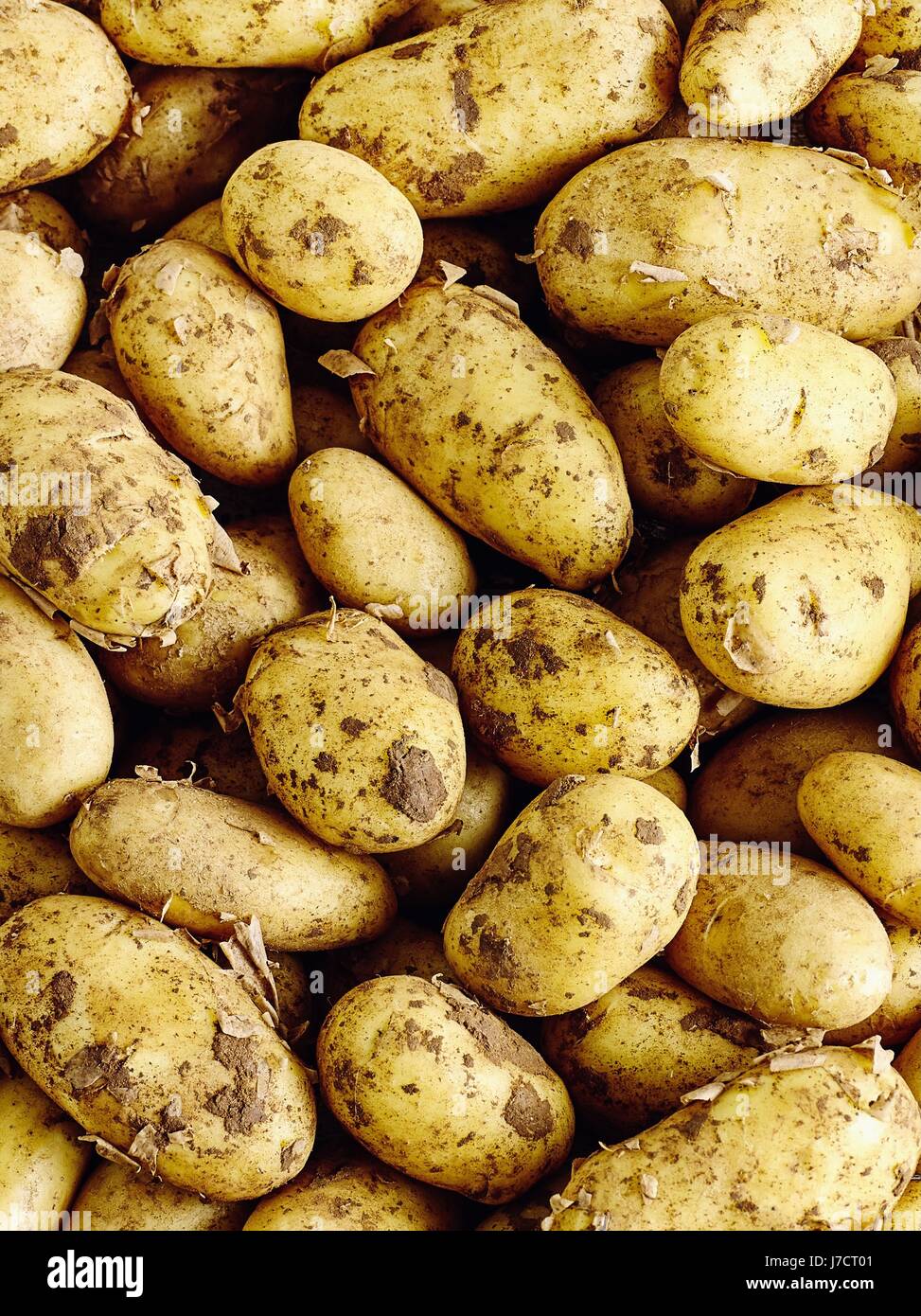 Still: New potatoes Stock Photo - Alamy