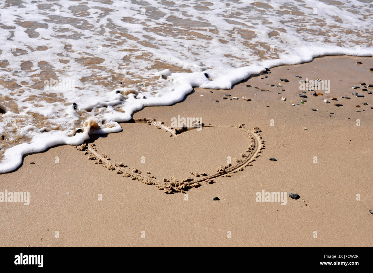 beach seaside the beach seashore shape drawing photo picture image copy ...