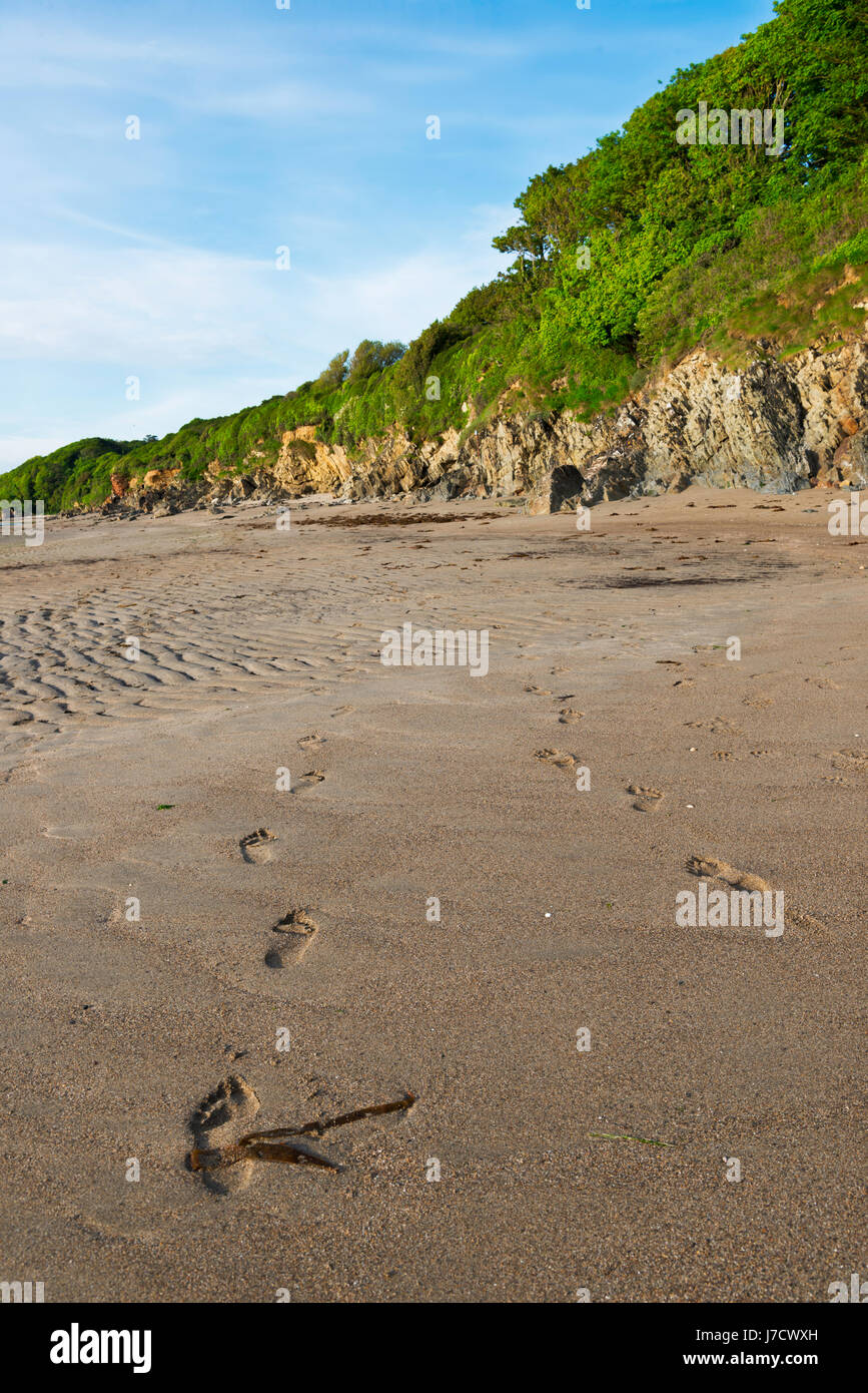 Wonwell Beach at the mouth of the River Erme in South Devon Stock Photo ...