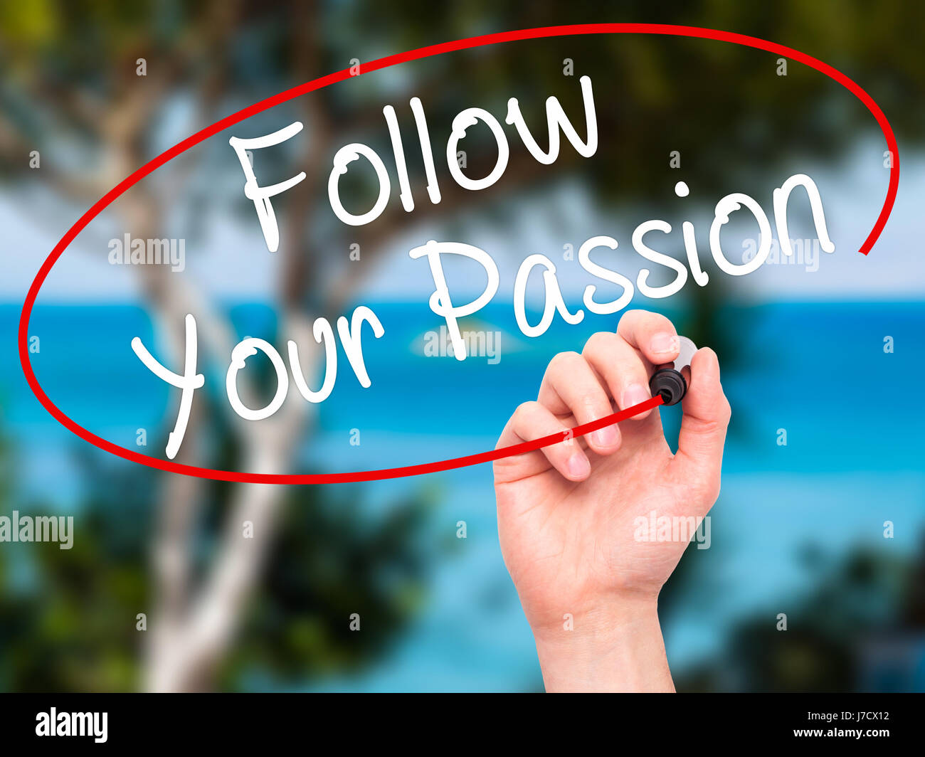 Man Hand writing Follow Your Passion with black marker on visual screen ...