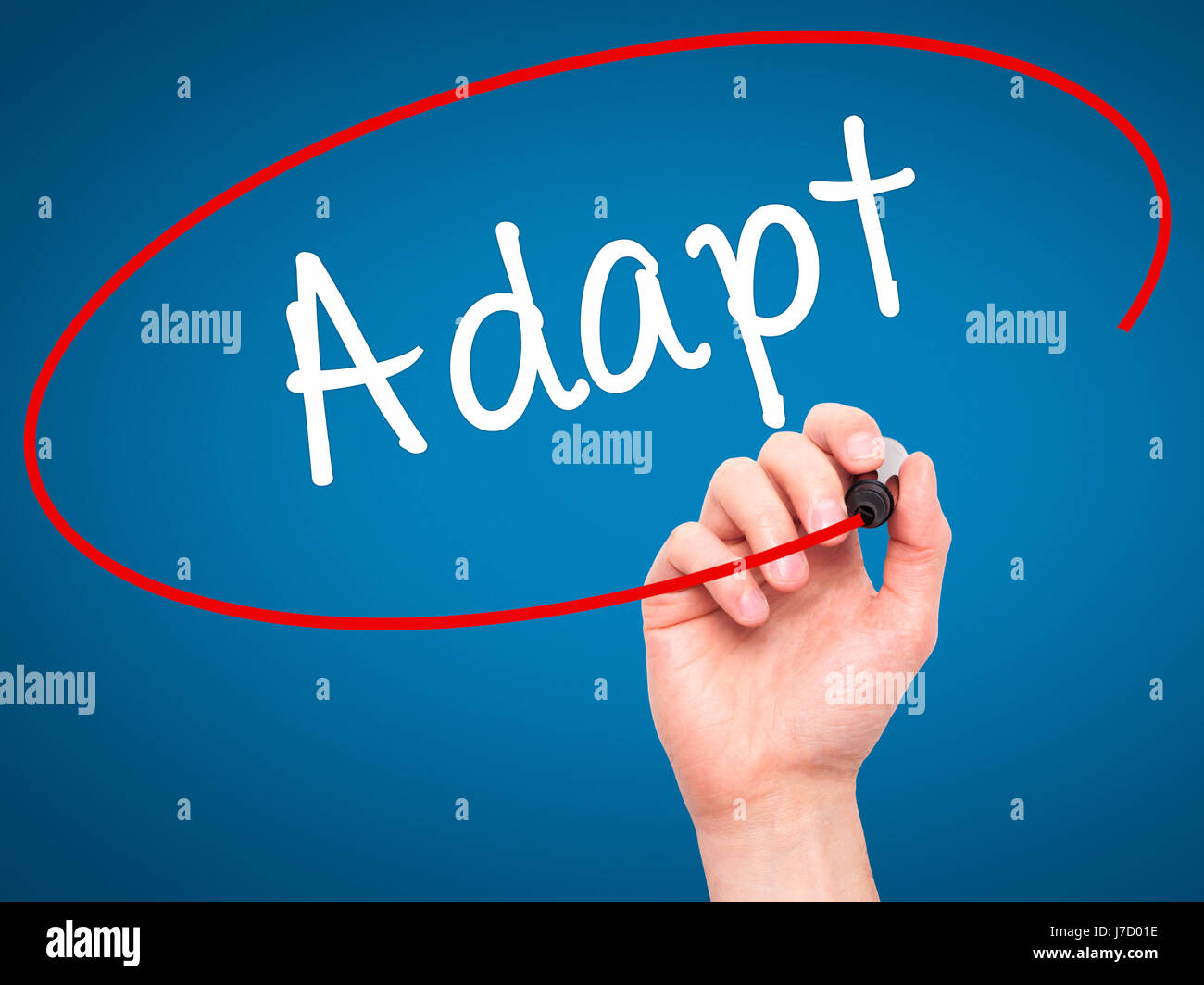 Man Hand writing Adapt with black marker on visual screen. Isolated on ...