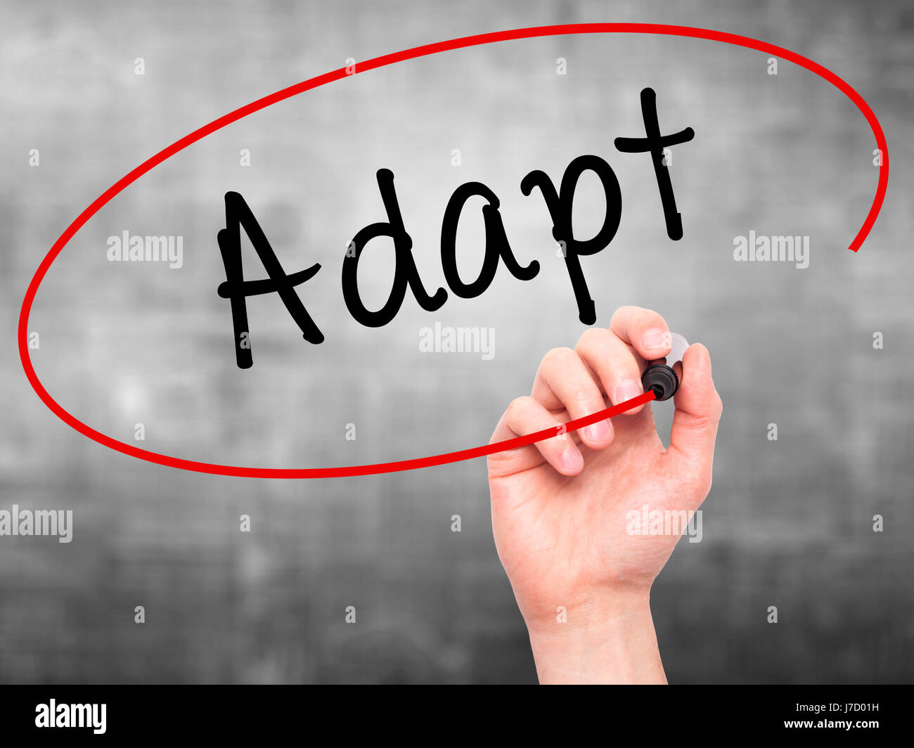 Man Hand writing Adapt with black marker on visual screen. Isolated on ...