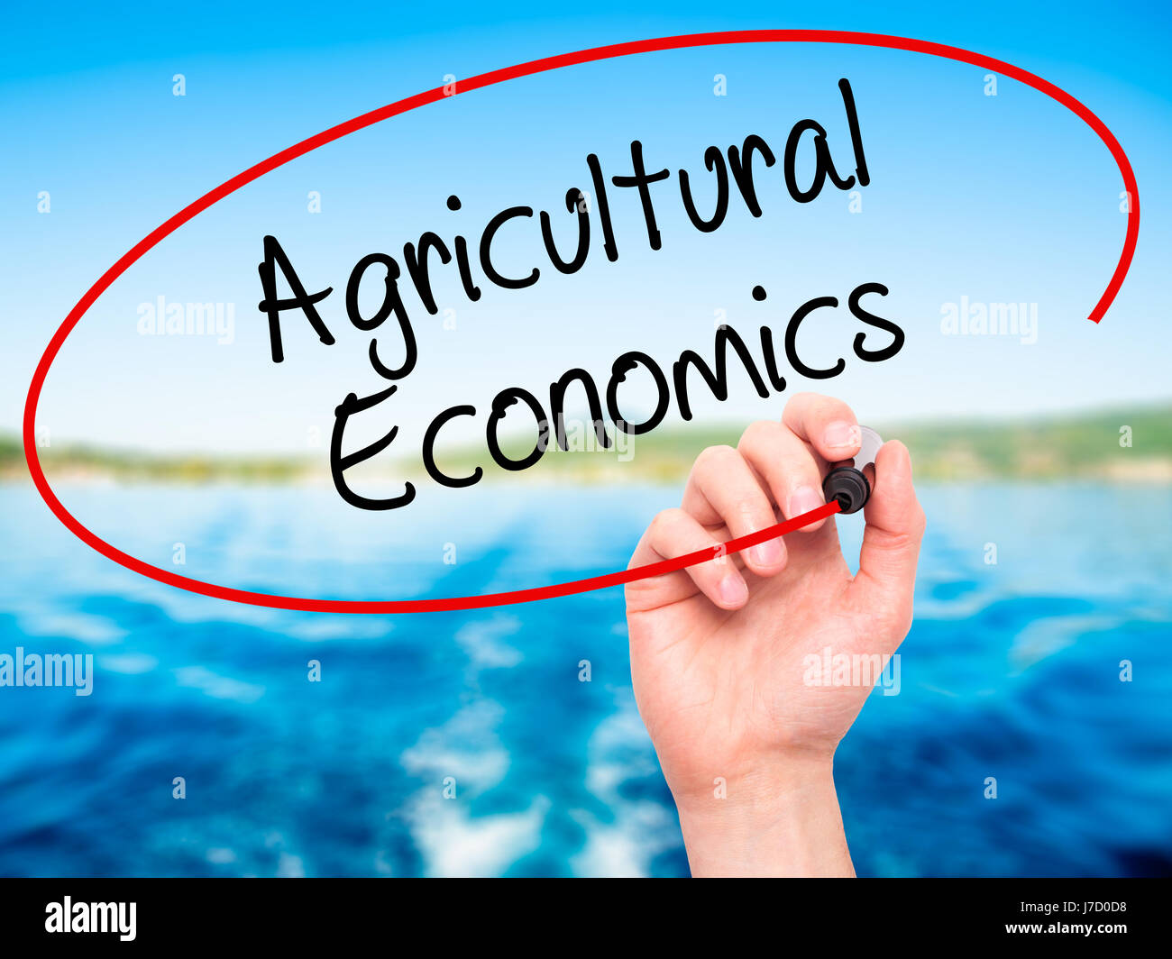 Man Hand writing Agricultural Economics with black marker on visual ...