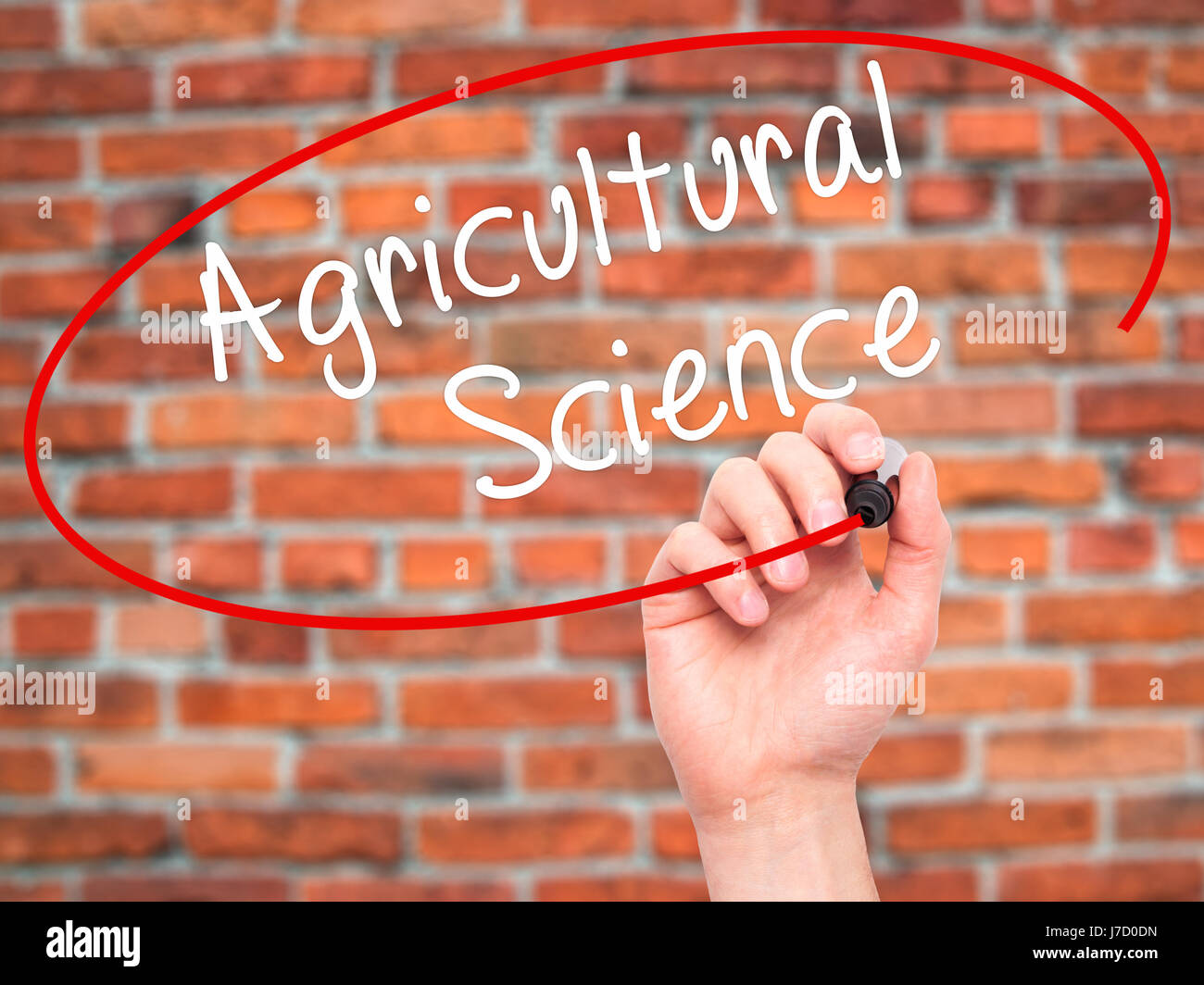 Man Hand writing Agricultural Science with black marker on visual ...