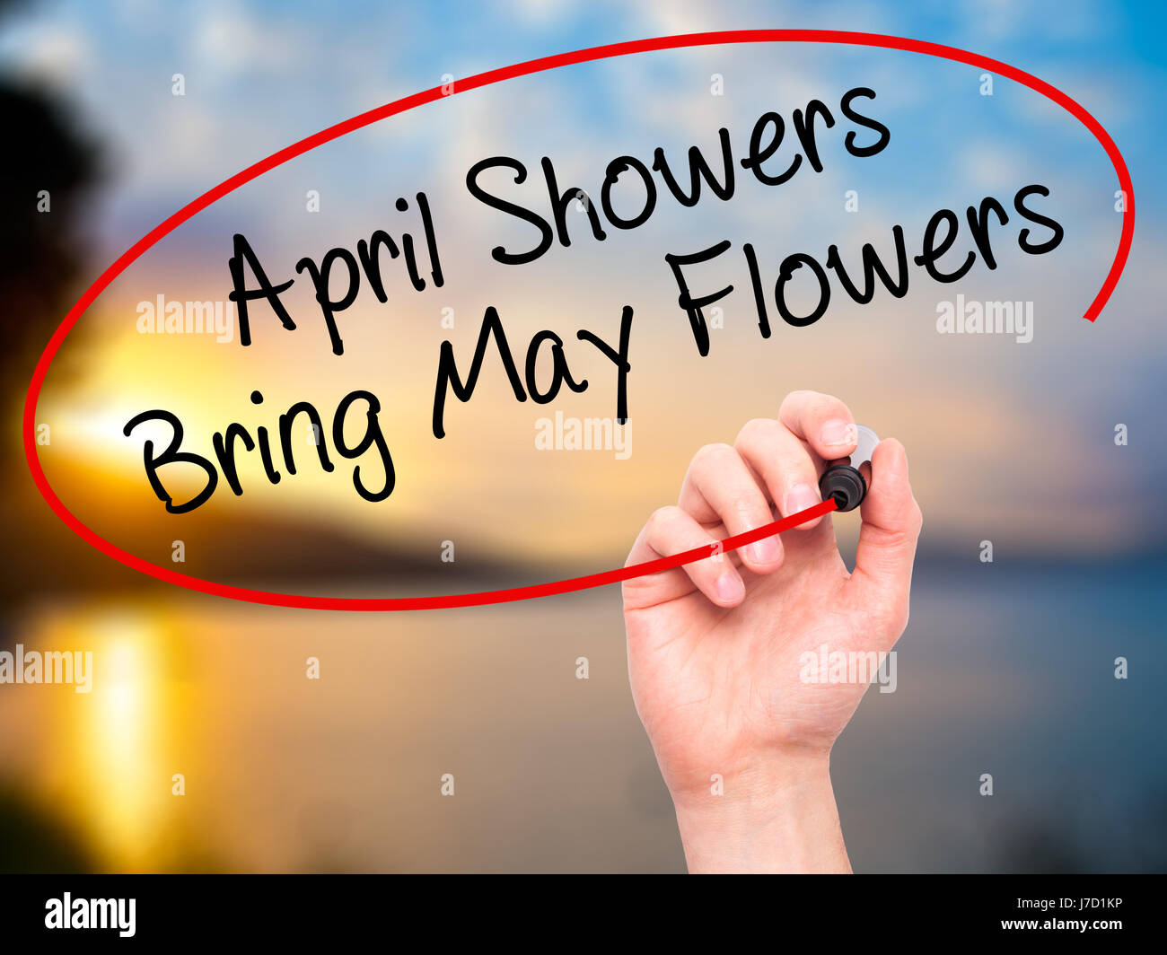 Man Hand writing April Showers Bring May Flowers with black marker on ...