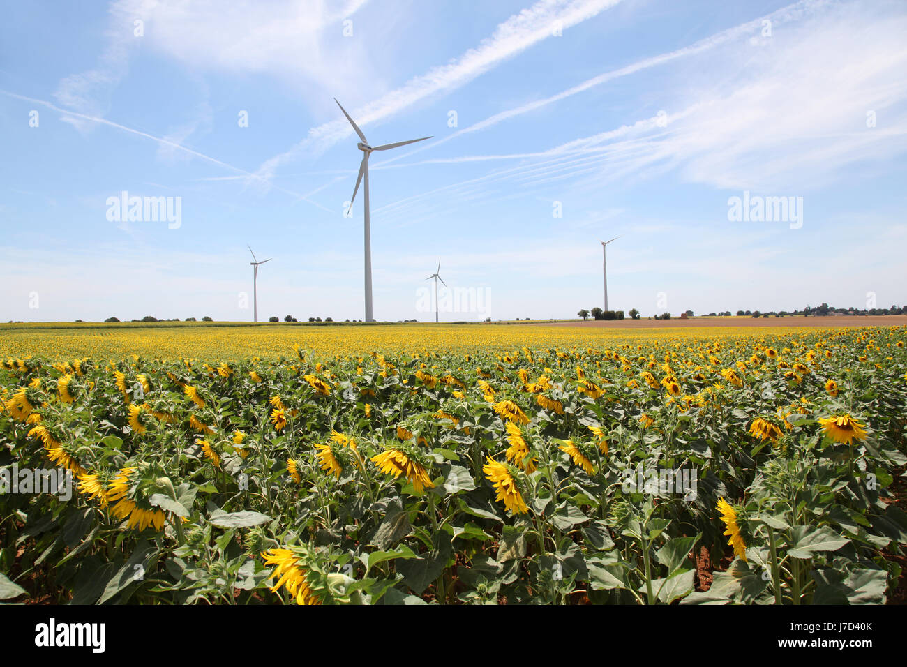 industry agriculture farming field energy power electricity electric ...
